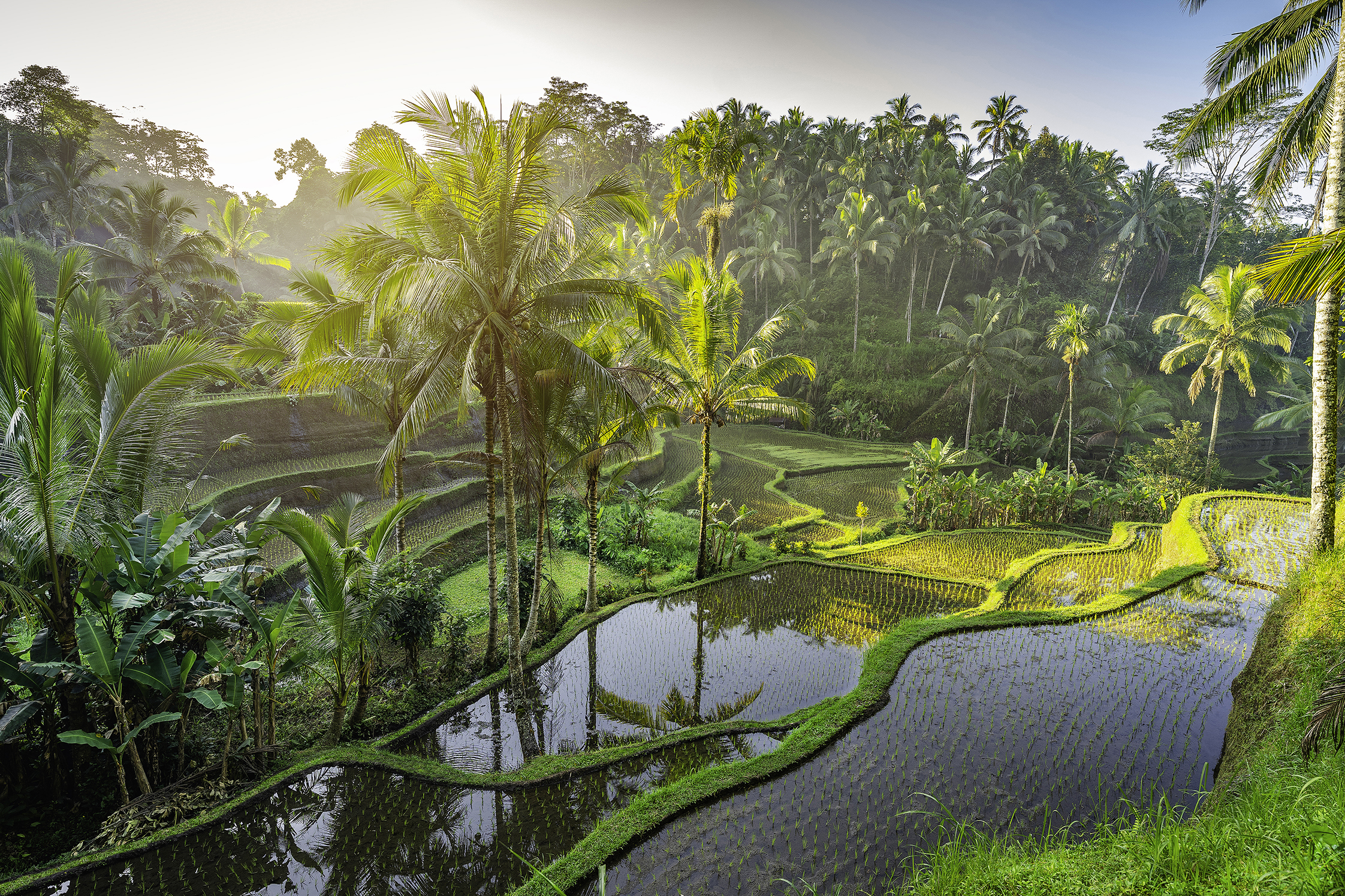 Bali Island Hopping Tour | Contiki AU