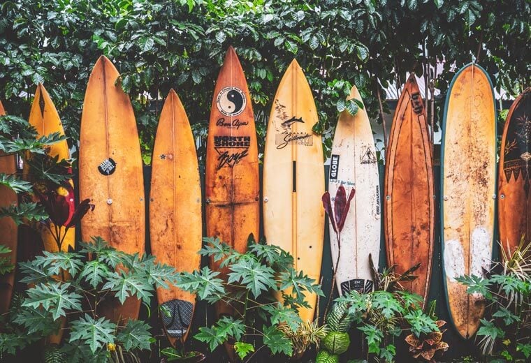 USA Tours, Trips & Vacations 2024 / 2025 | Contiki