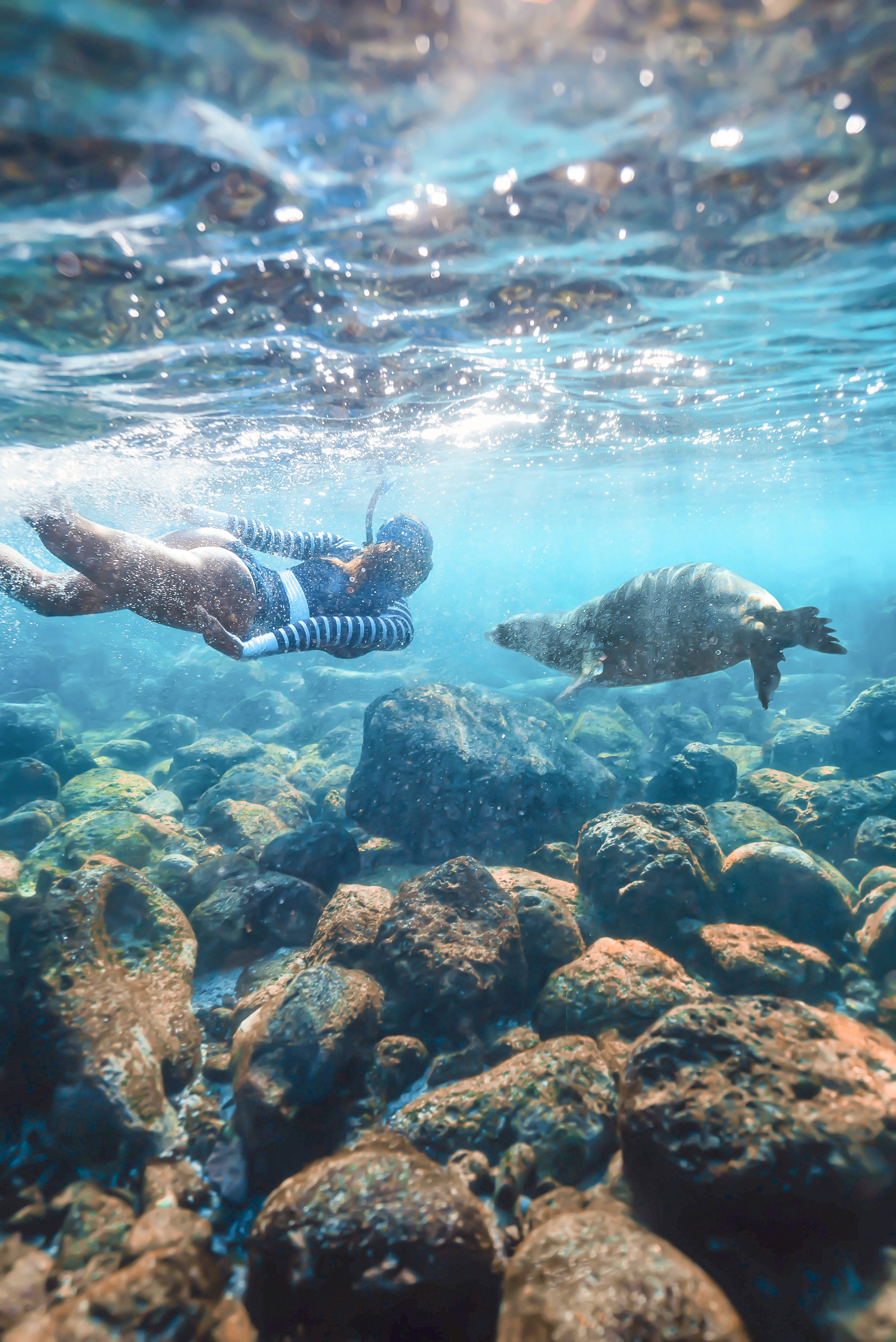 Ecuador & Galapagos Island Hopper Trip | Contiki