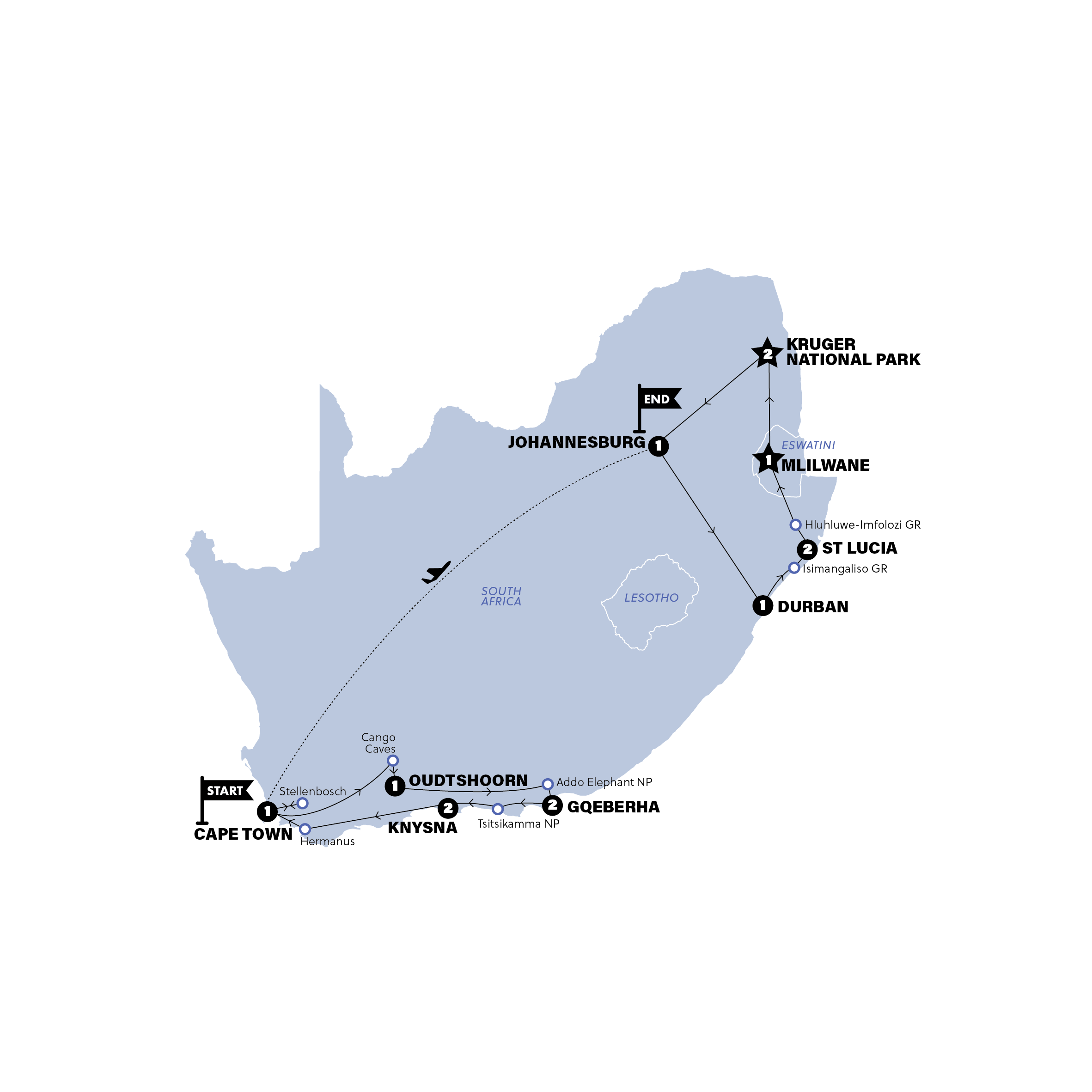 Sea Safari South Africa Tour 2025/2026 | Contiki US