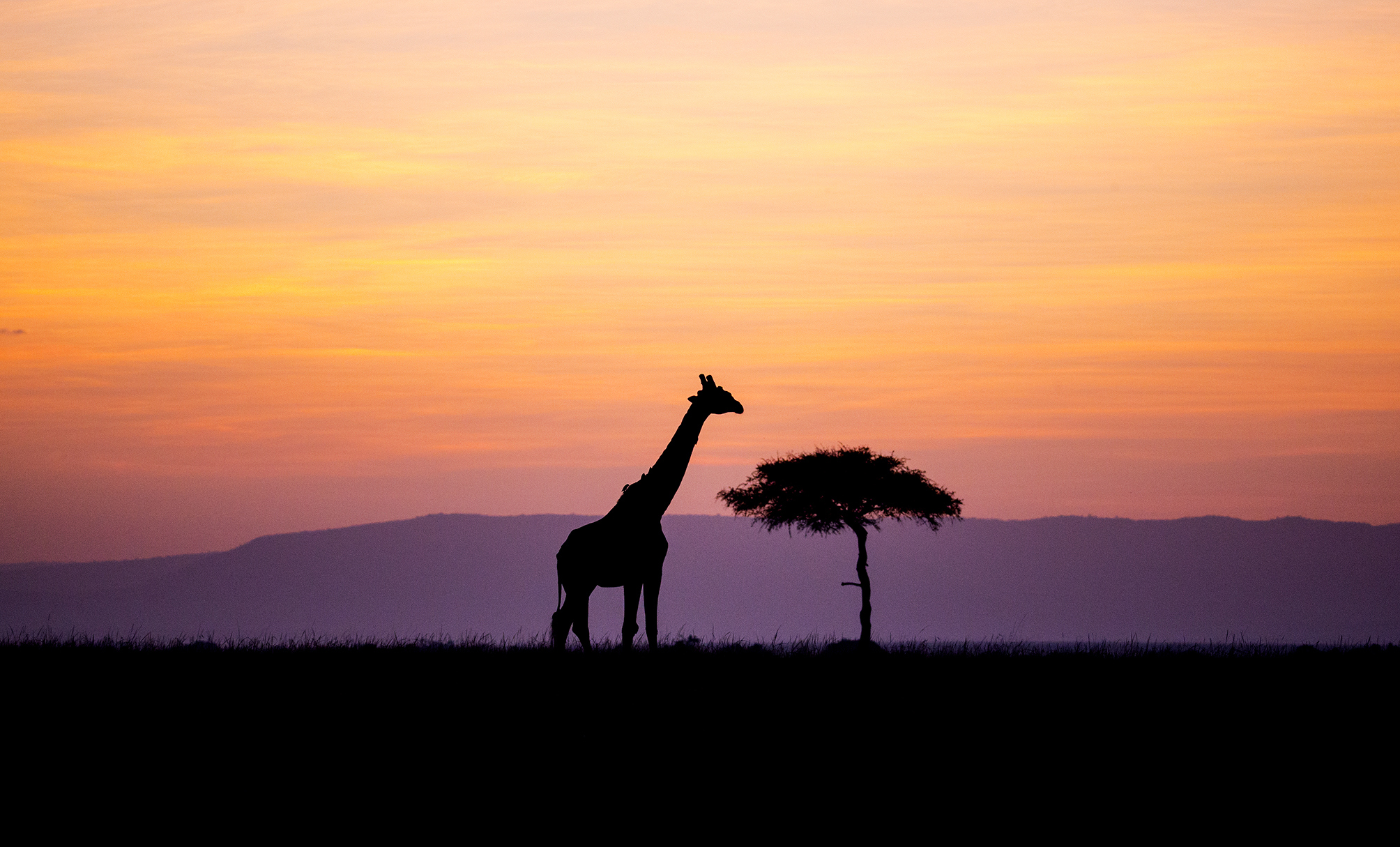 Kenya Adventure Tour 2025 / 2026 | Contiki EU