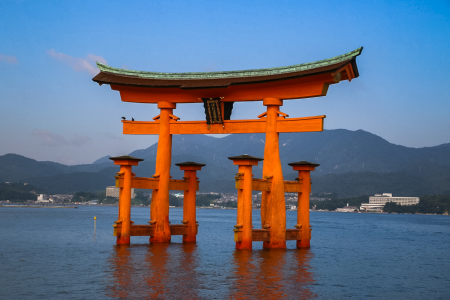 Japan Tours, Trips & Vacations 2024 / 2025 | Contiki US