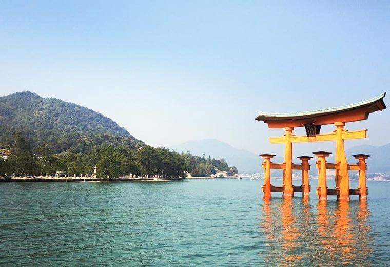 Japan Tours, Trips & Vacations 2024 / 2025 | Contiki