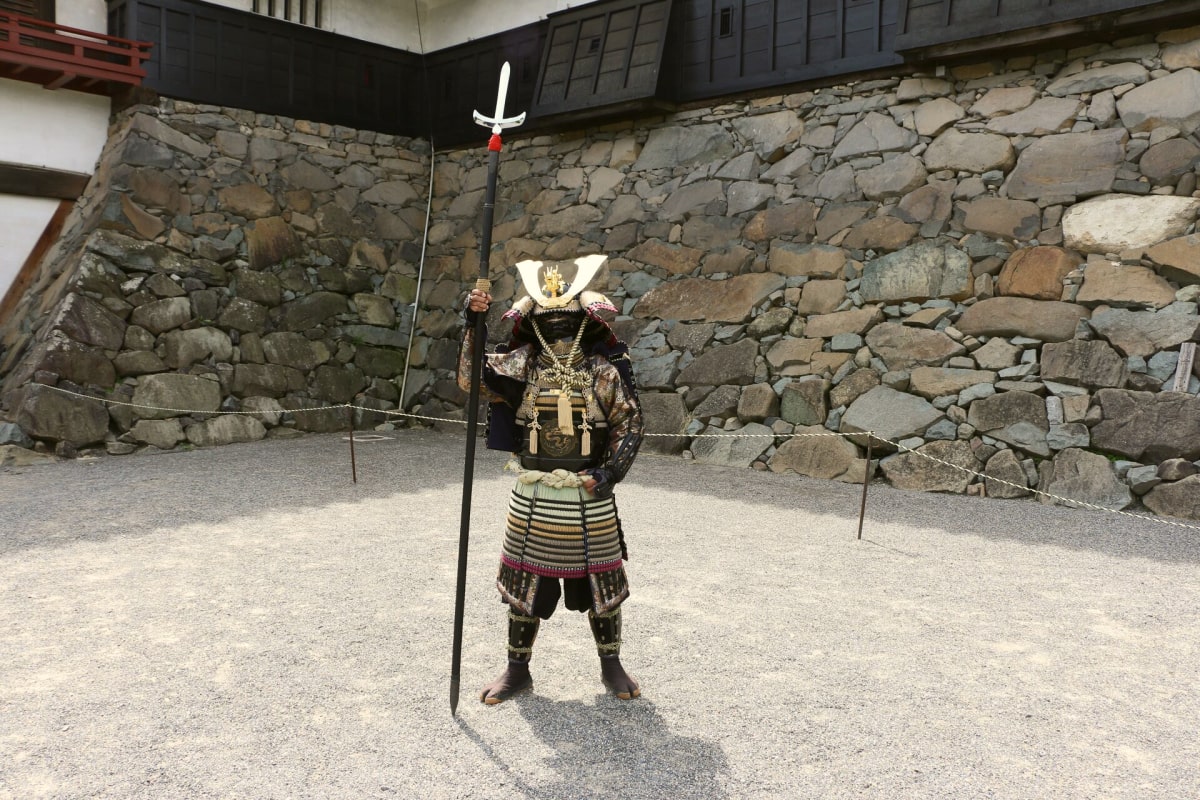 Japan Tours & Trips 2025 / 2026 | Contiki AU