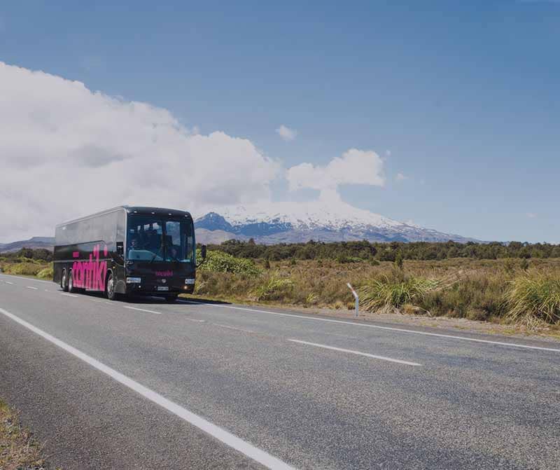 Travel As Groups | Contiki CA