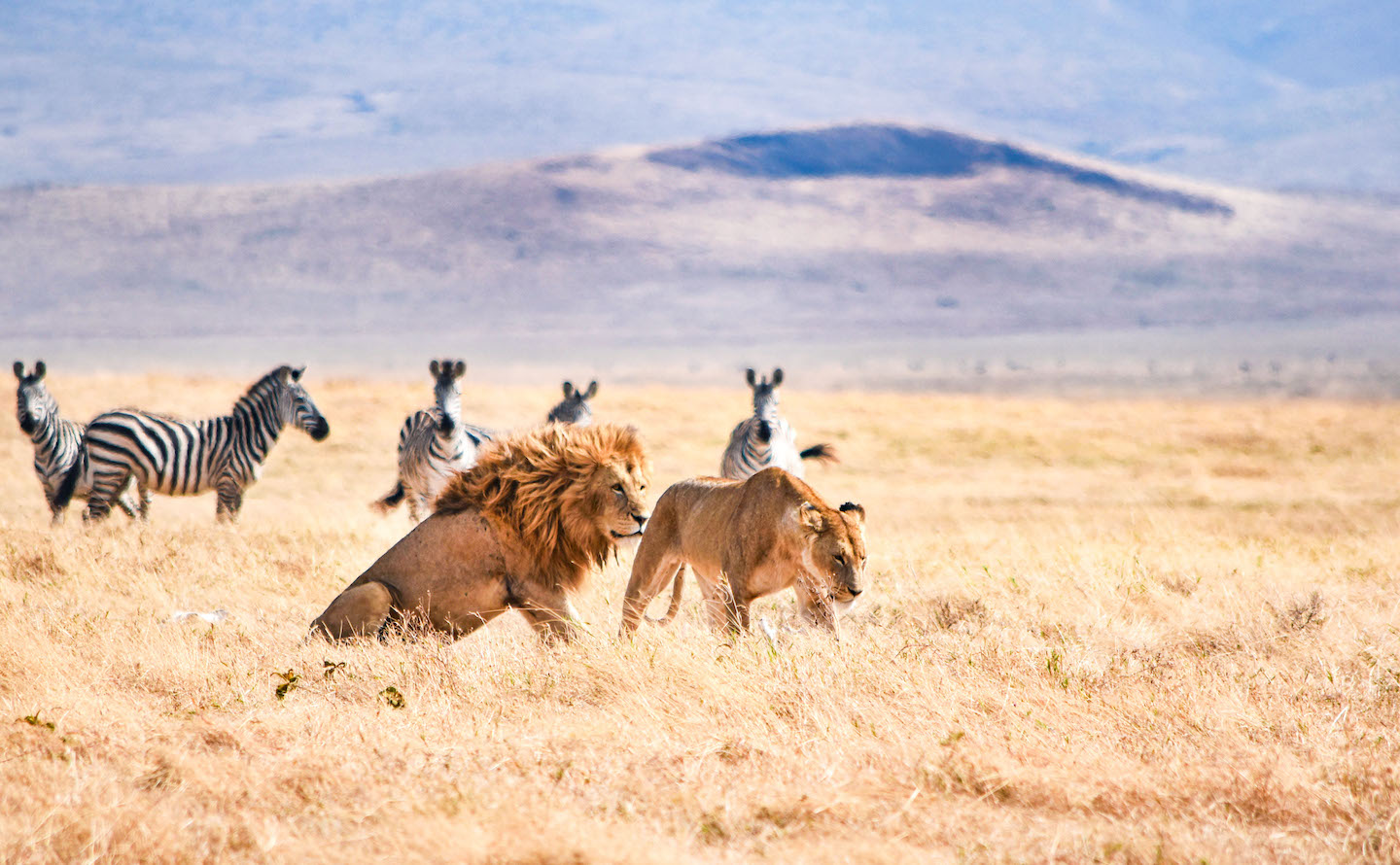 9 things you need to know before travelling to East Africa