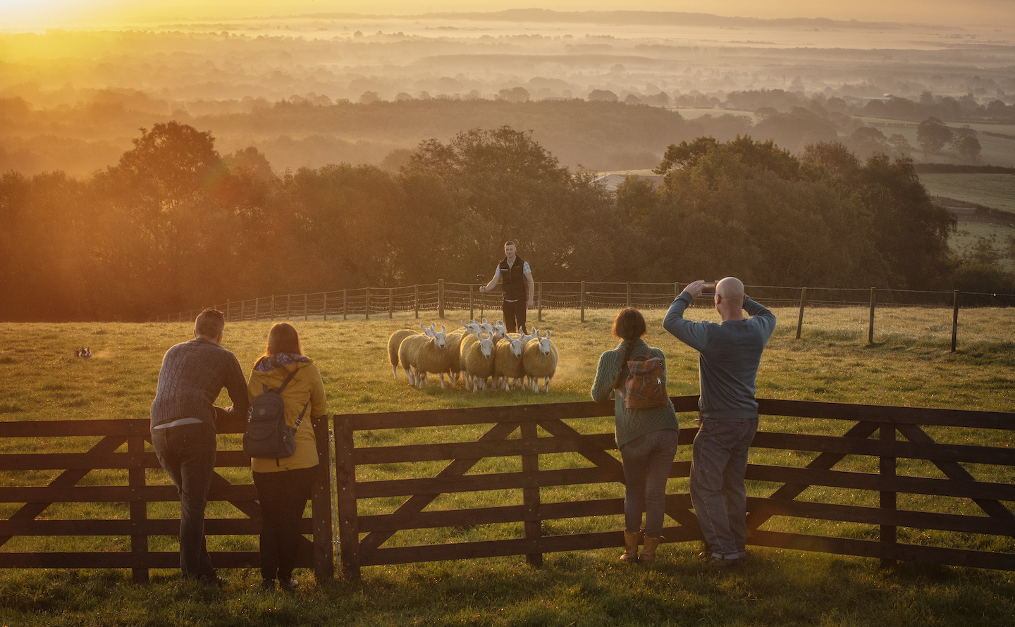 Why Glenshane Country Farm is idyllic and sustainable