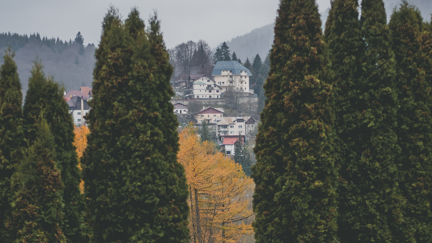 Where Was Wednesday Filmed? Top Locations to Visit