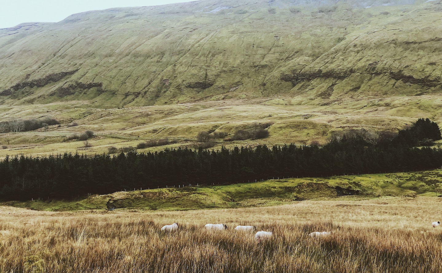 All the Normal People filming locations you need to visit