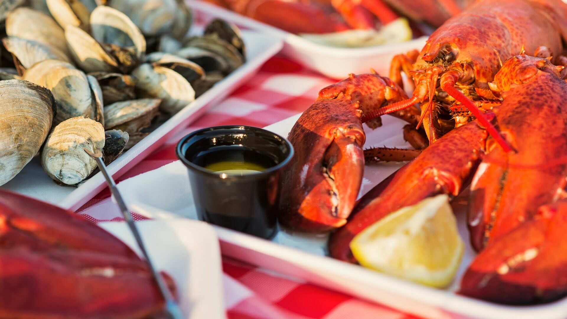 Where to eat seafood on a budget | Contiki