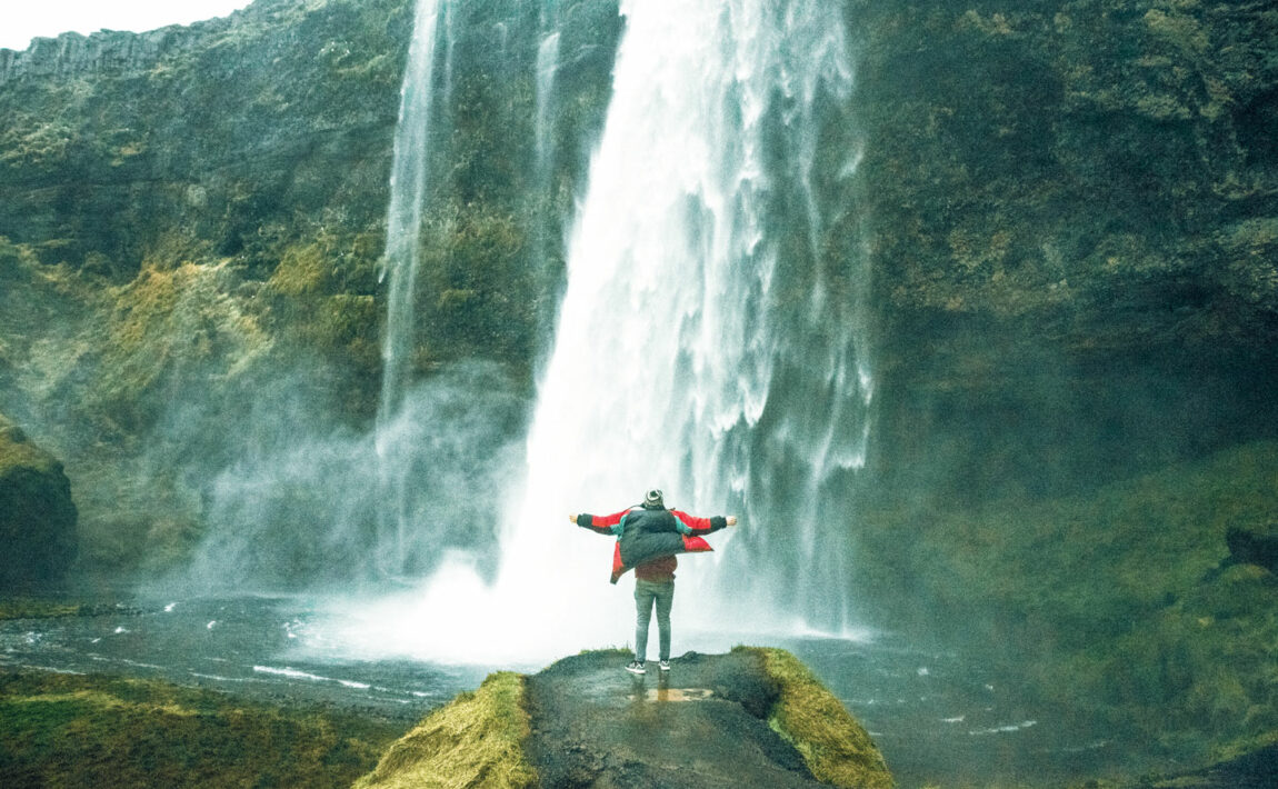 Iceland Reforestation Program helps tourists offset their carbon footprint