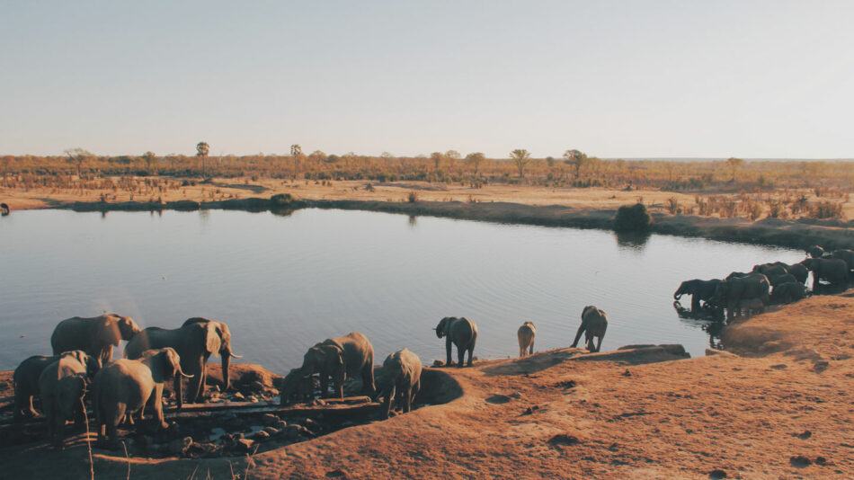 These are the best seasons to travel to Zimbabwe - six-two by Contiki