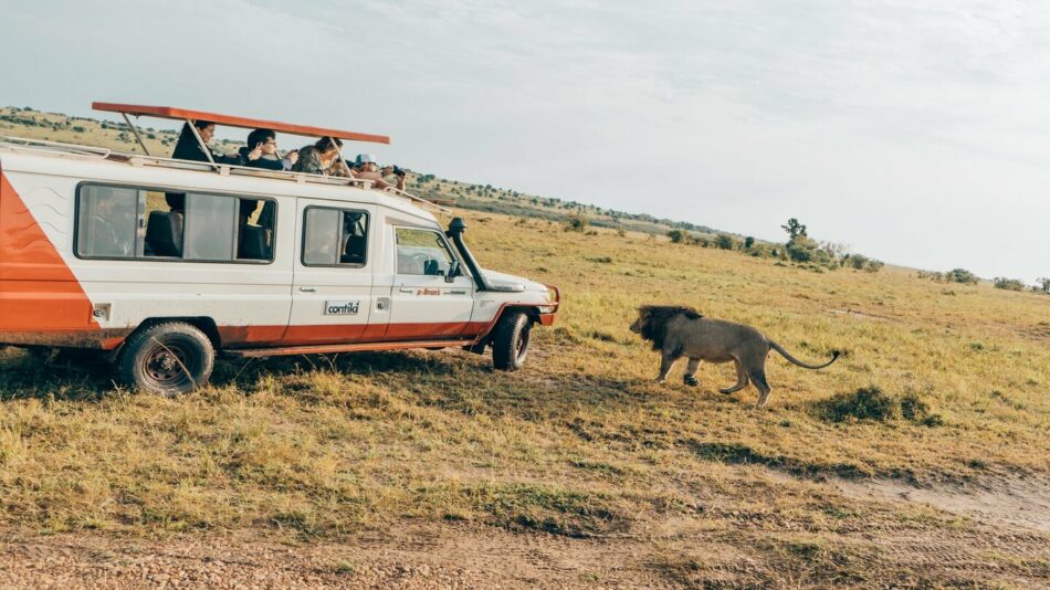 9 best summer vacation ideas you can explore this year - six-two by Contiki