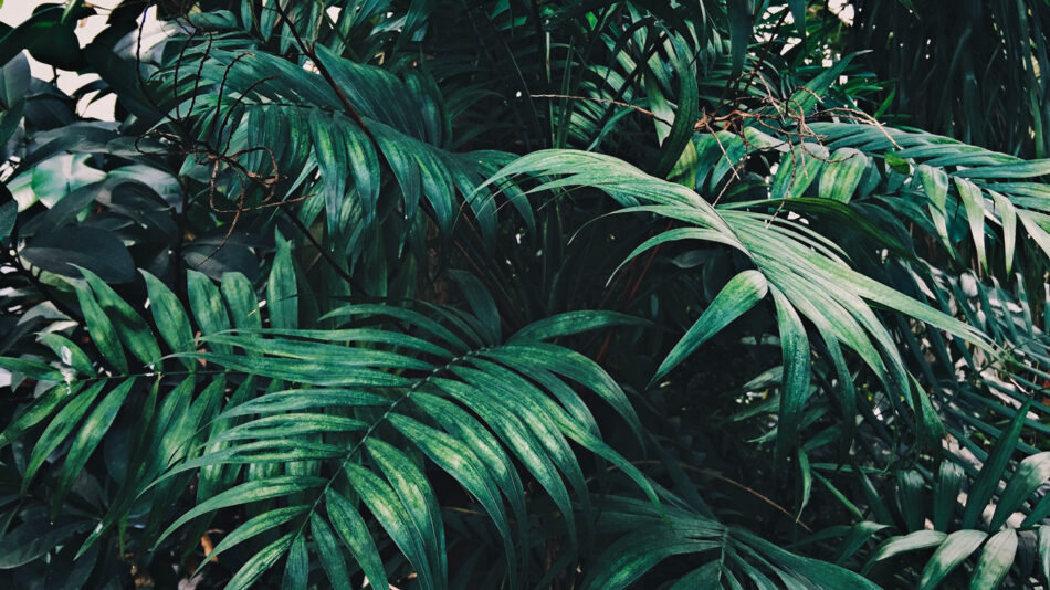 Where Was Wednesday Filmed? Top Locations to Visit