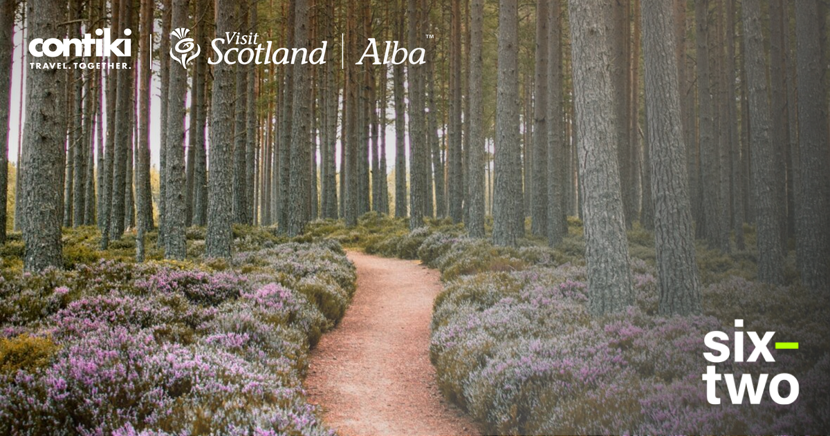 10 Best Forests in Scotland You Need to See | Contiki