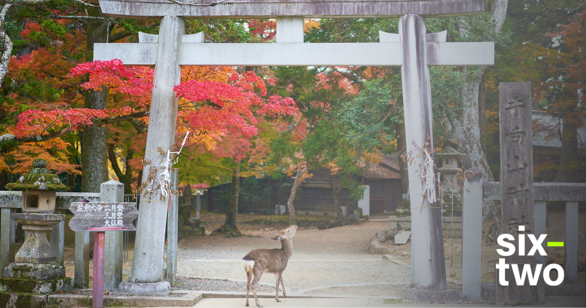18 Best Places To Visit In Japan | Contiki